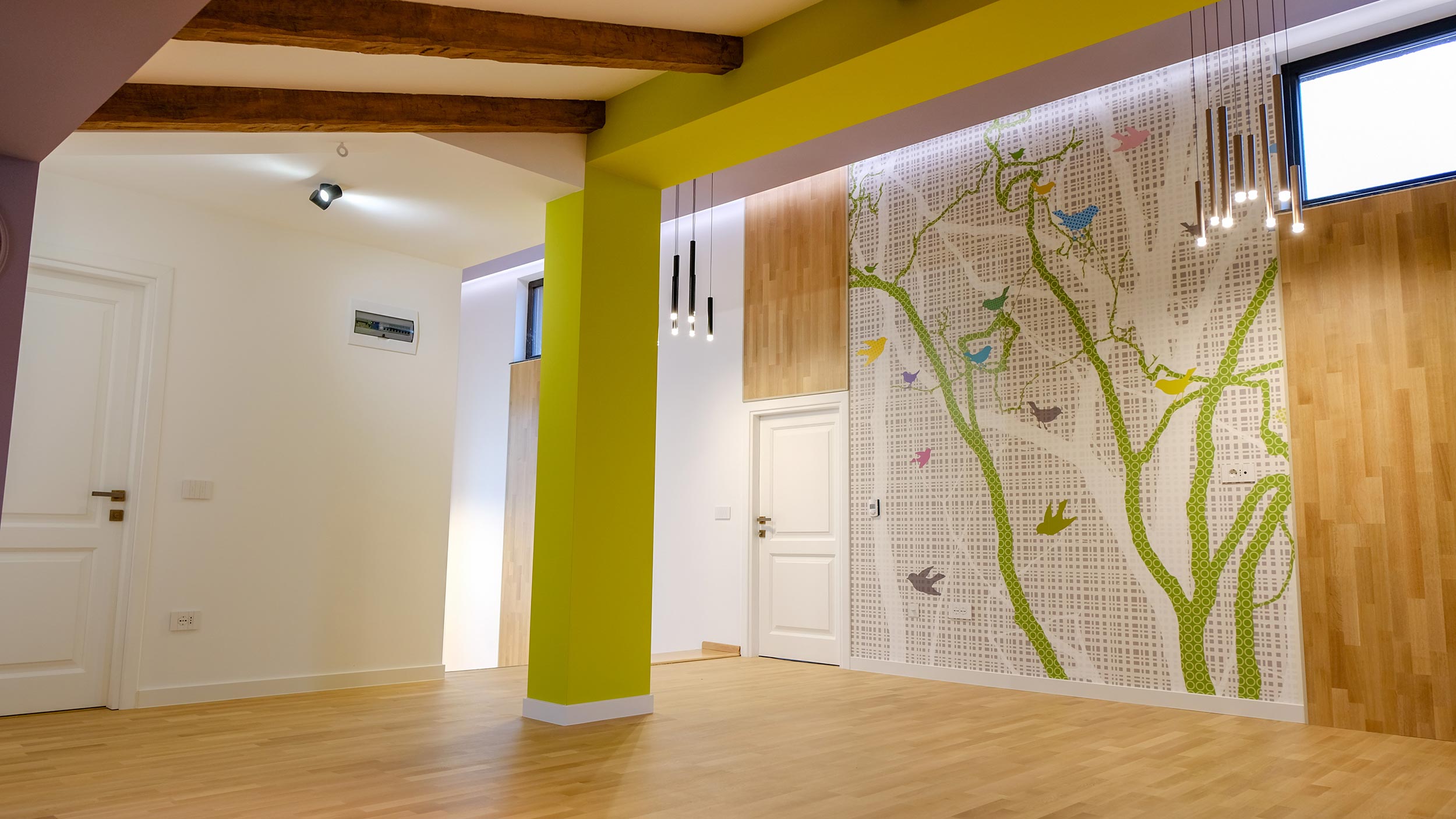 Proiecte - Amenajari Craiova